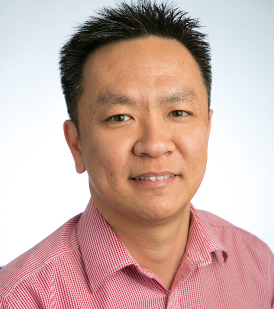 Reinforced soil structures used in mitigating dynamic rockfall and ...