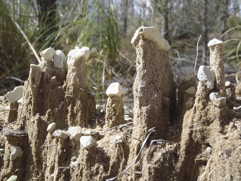 NZ Geotechnical Photo Competition - New Zealand Geotechnical Society