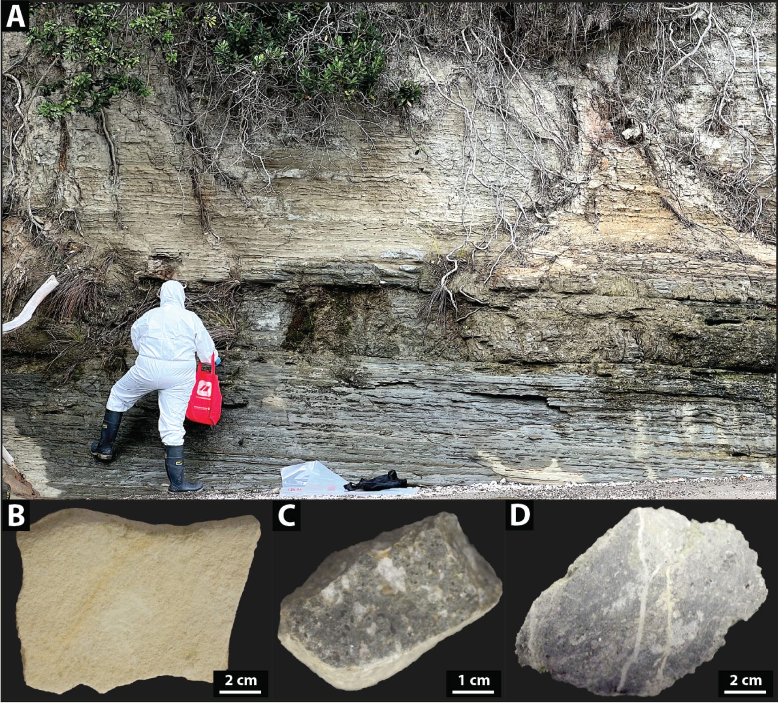 Analysis and occurrence of fibrous erionite minerals in New Zealand ...