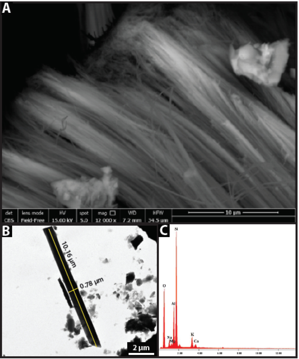 Analysis and occurrence of fibrous erionite minerals in New Zealand ...