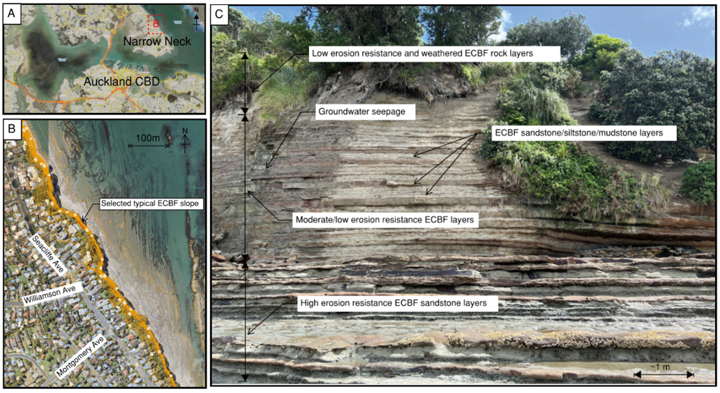 Local slope stability in Auckland’s North Shore East Coast Bays ...